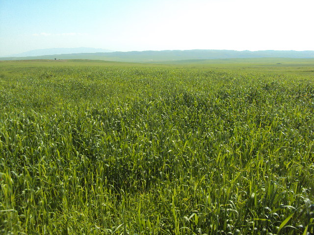 ESG - Gulf Keystone Petroleum